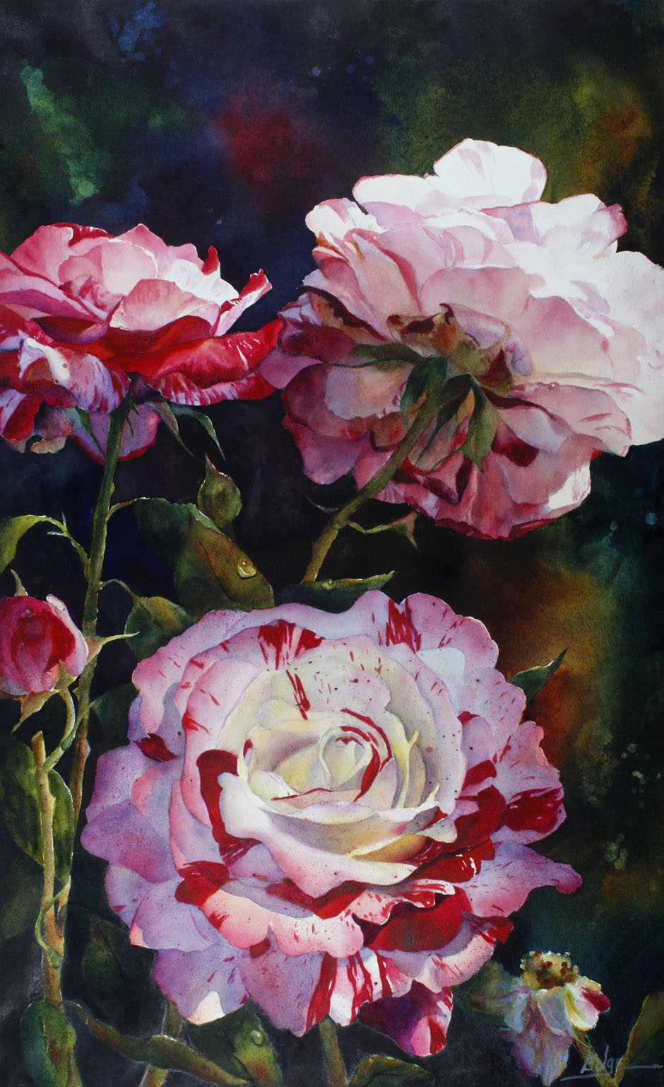Bold and Beautiful - Marney-Rose Edge