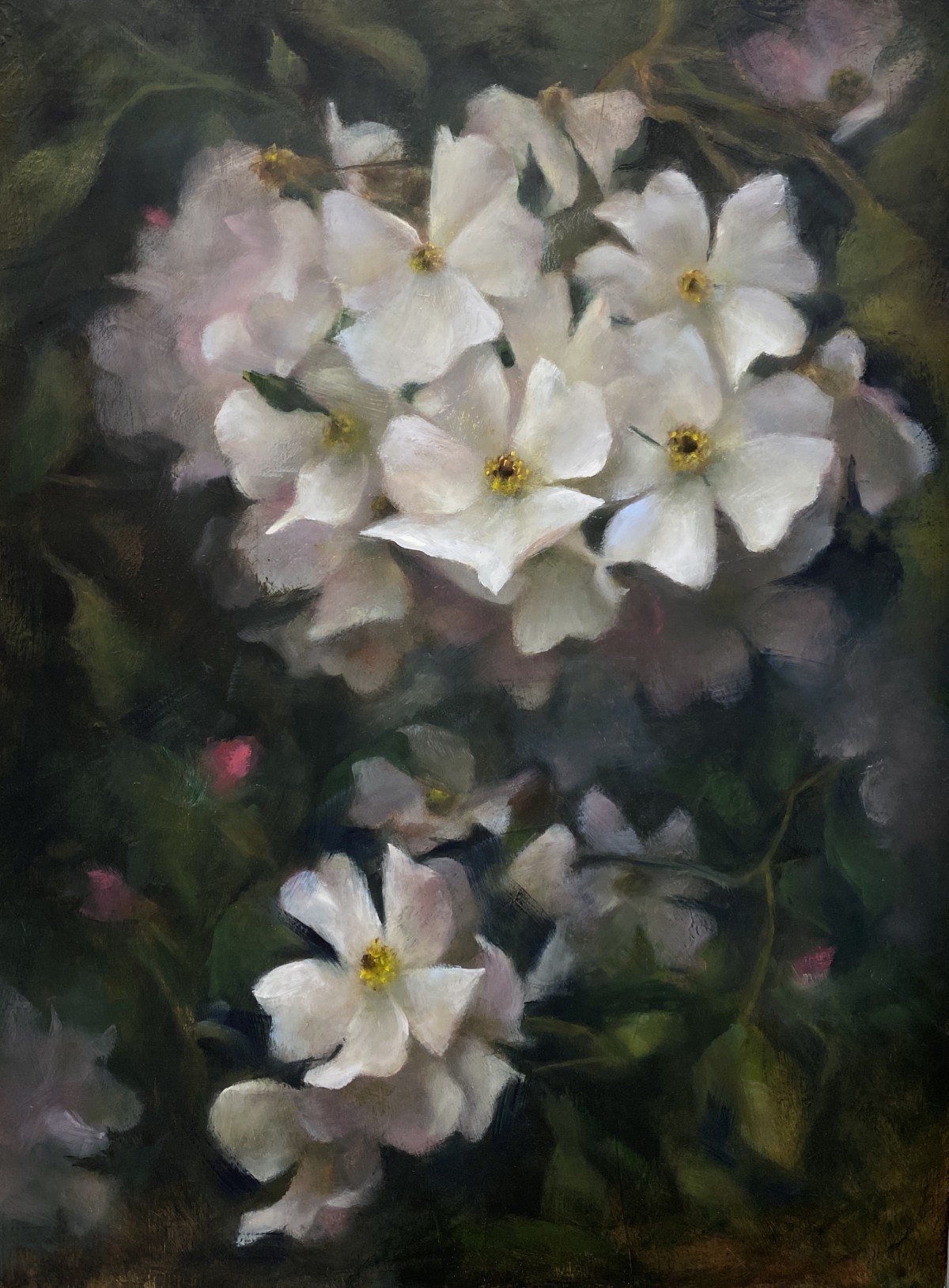 Sophistication - Marney-Rose Edge