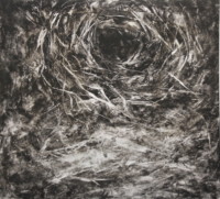 Evolution - Marney-Rose Edge