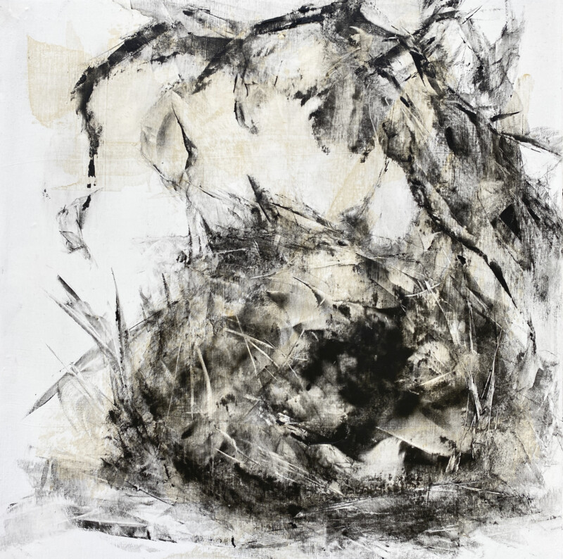 Evolution - Marney-Rose Edge