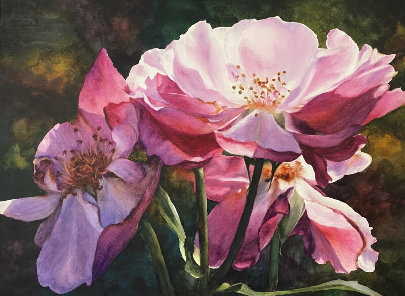 Workshop Topics - Marney-Rose Edge